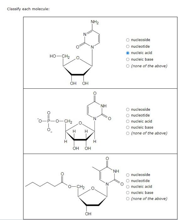 Solved Classify each molecule: nucleoside nucleotide | Chegg.com