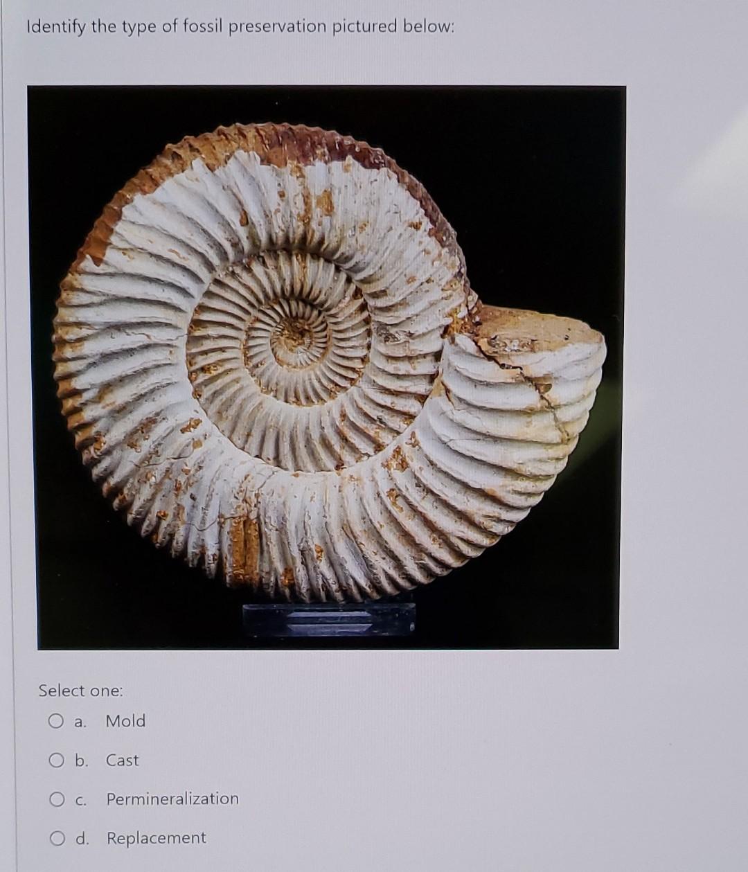 Solved Identify the type of fossil preservation pictured | Chegg.com