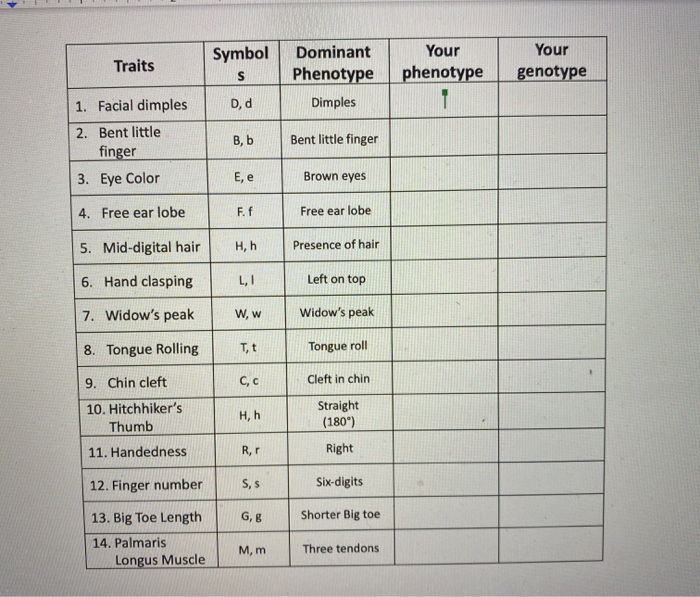 Solved Symbol Traits Dominant Phenotype Dimples Your | Chegg.com