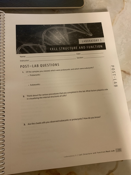 LABORATORY 3 CELL STRUCTURE AND FUNCTION Date: Name | Chegg.com
