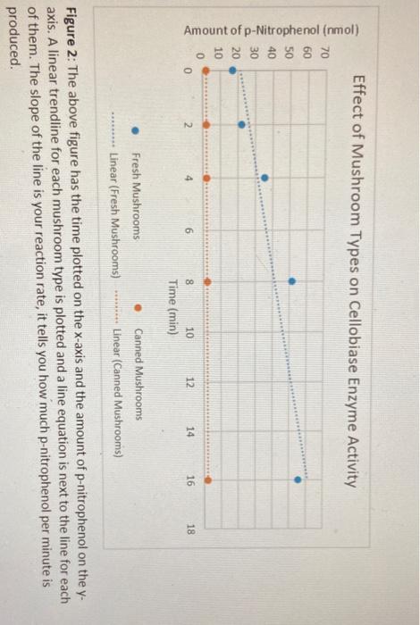 Solved Effect of Mushroom Types on Cellobiase Enzyme | Chegg.com