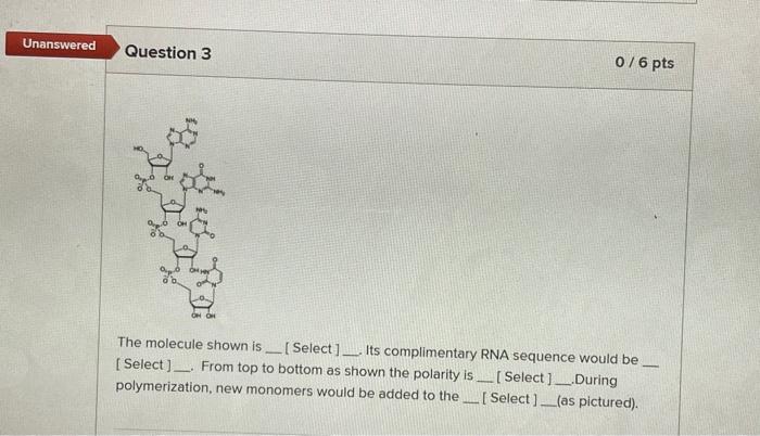 Solved The molecule shown is [Select] Its complimentary RNA | Chegg.com