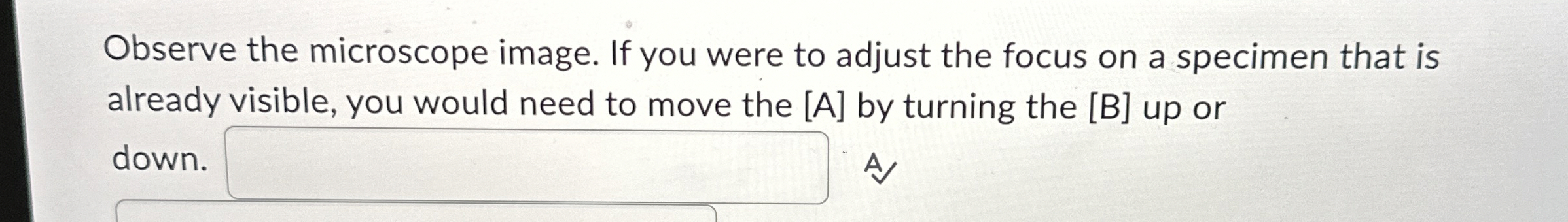 Solved Observe the microscope image. If you were to adjust | Chegg.com