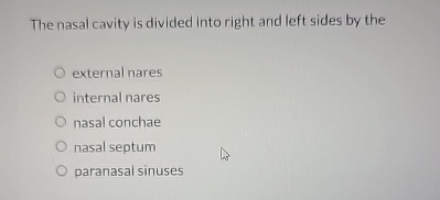 Solved The nasal cavity is divided into right and left sides | Chegg.com