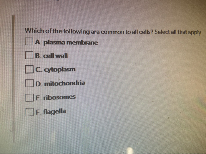 Solved Which ofthe following are common to all cells? Select | Chegg.com