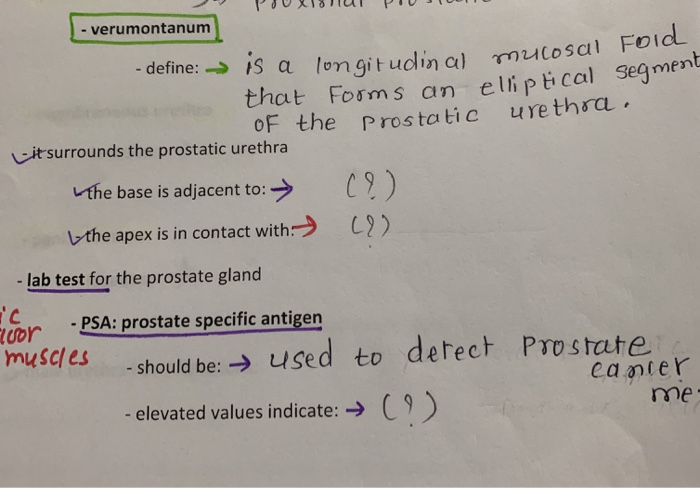 Solved verumontanum - define: -> is a longitudinal mucosal | Chegg.com