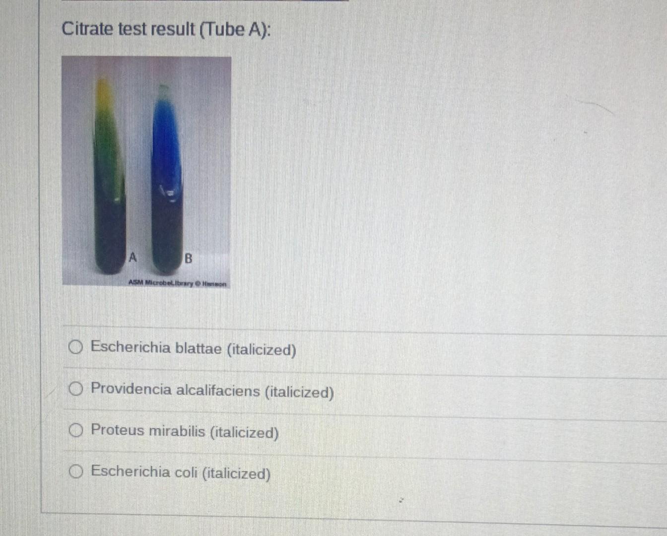Solved You perform several tests on an unidentified | Chegg.com
