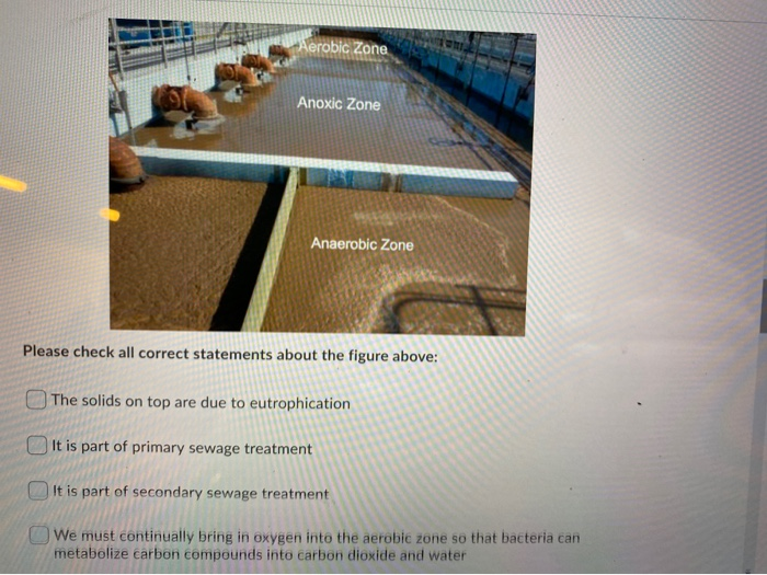 Solved Pne Anoxic Zone Anaerobic Zone Please check all | Chegg.com