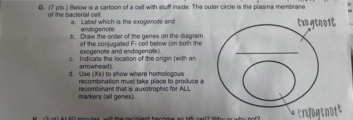 Solved of the bacterial cell. a. Label which is the | Chegg.com