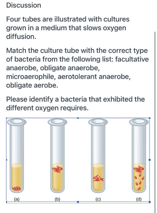 Solved Discussion Four tubes are illustrated with cultures | Chegg.com