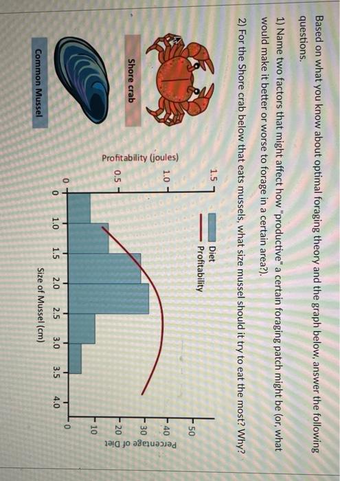 Solved Based on what you know about optimal foraging theory | Chegg.com