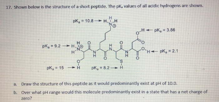 Solved 17. Shown below is the structure of a short peptide. | Chegg.com