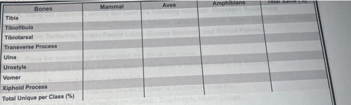 Solved Lab Exercise 25.3 - Comparative Class Morphology | Chegg.com