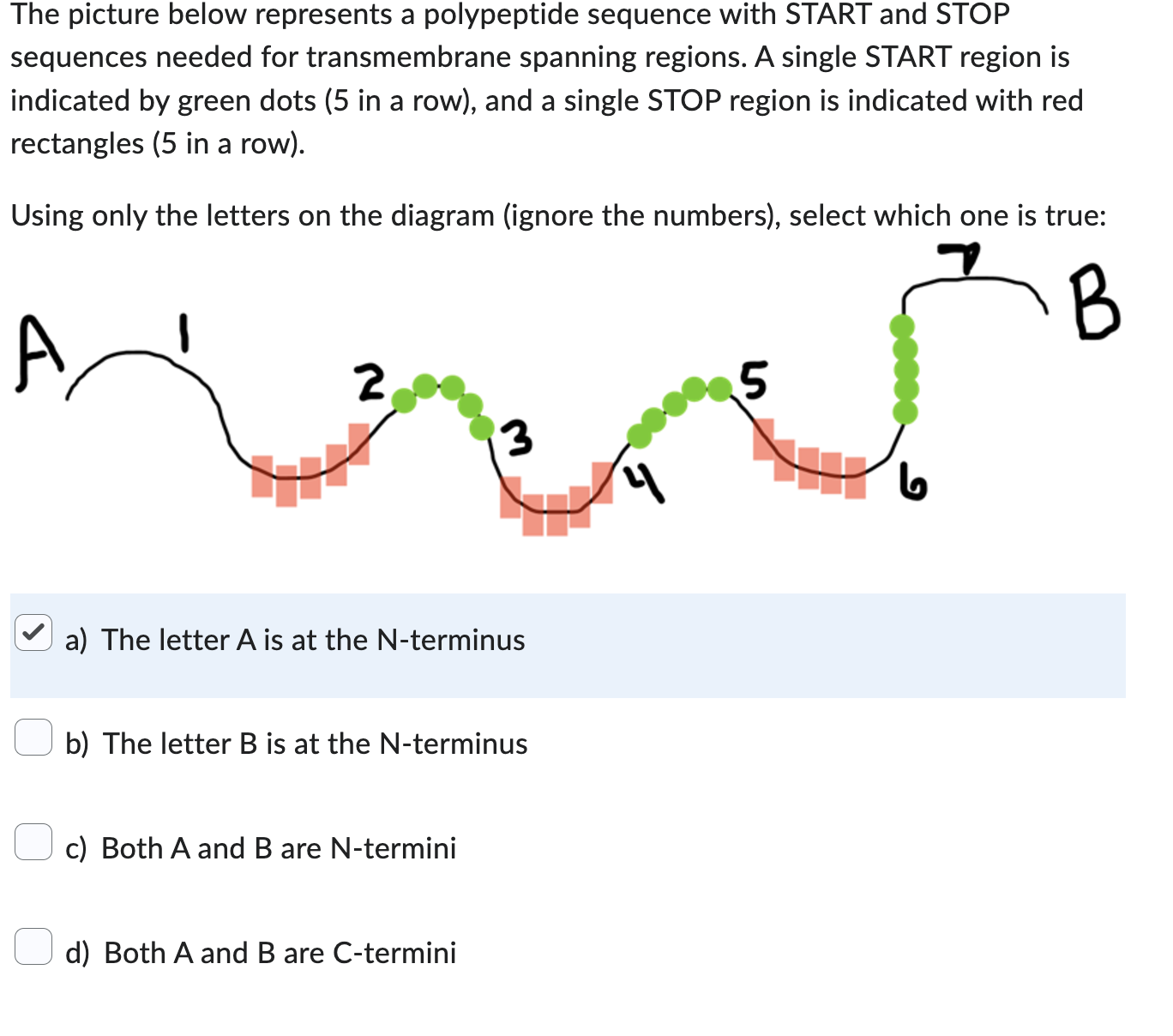 Solved The picture below represents a polypeptide sequence | Chegg.com