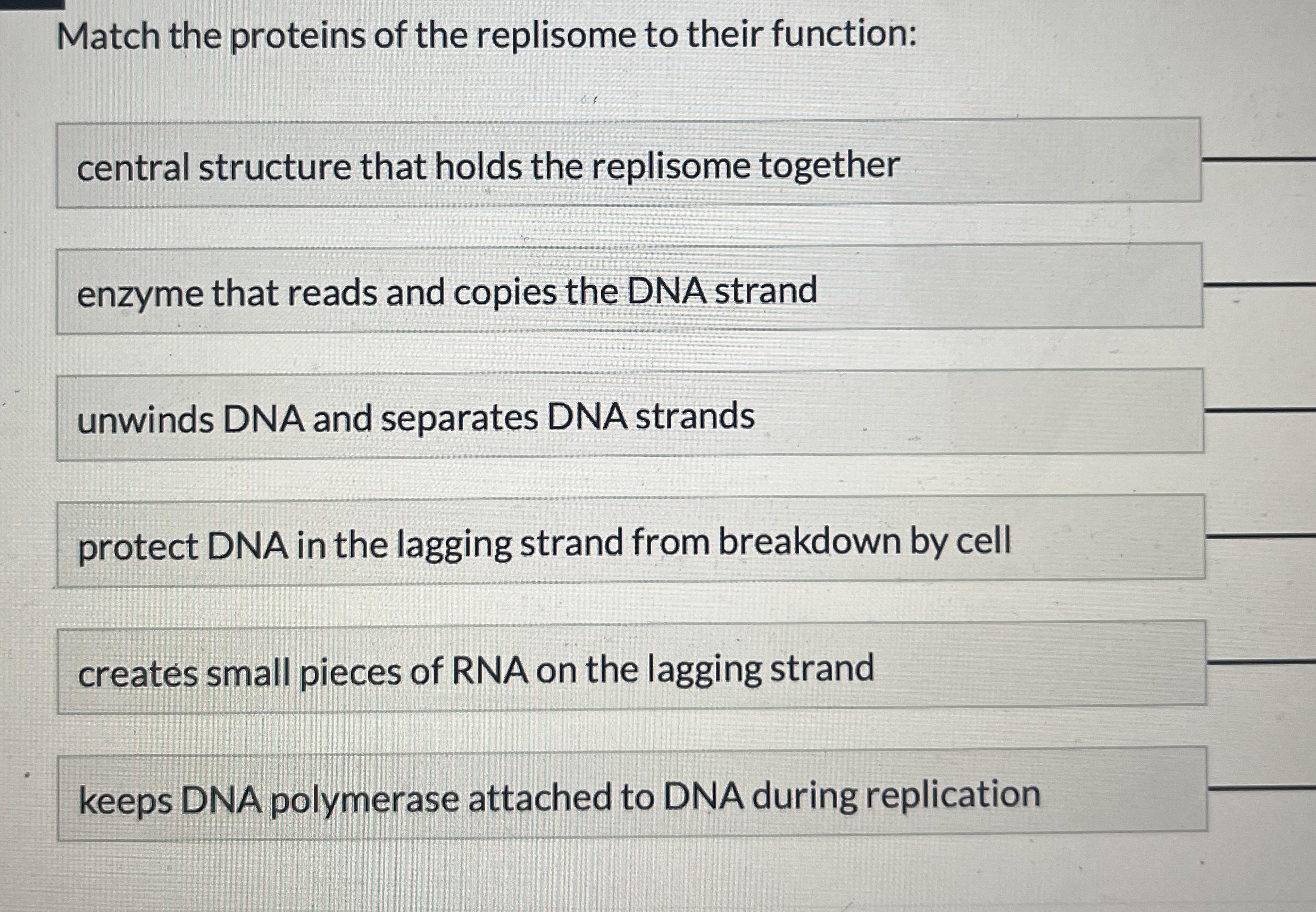 Solved Match the proteins of the replisome to their | Chegg.com