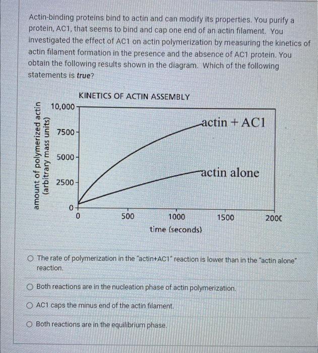 Solved Actin-binding proteins bind to actin and can modify | Chegg.com