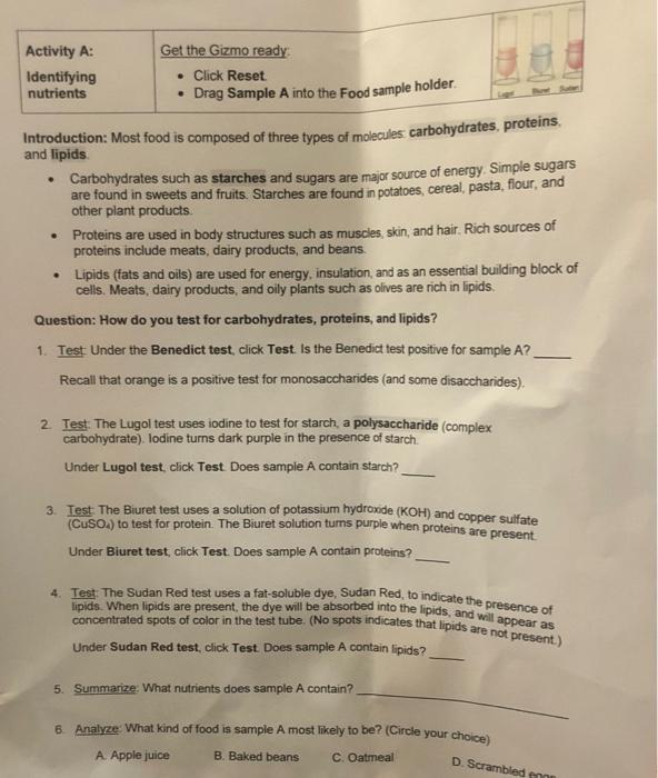 Solved Activity A: Identifying nutrients Get the Gizmo | Chegg.com