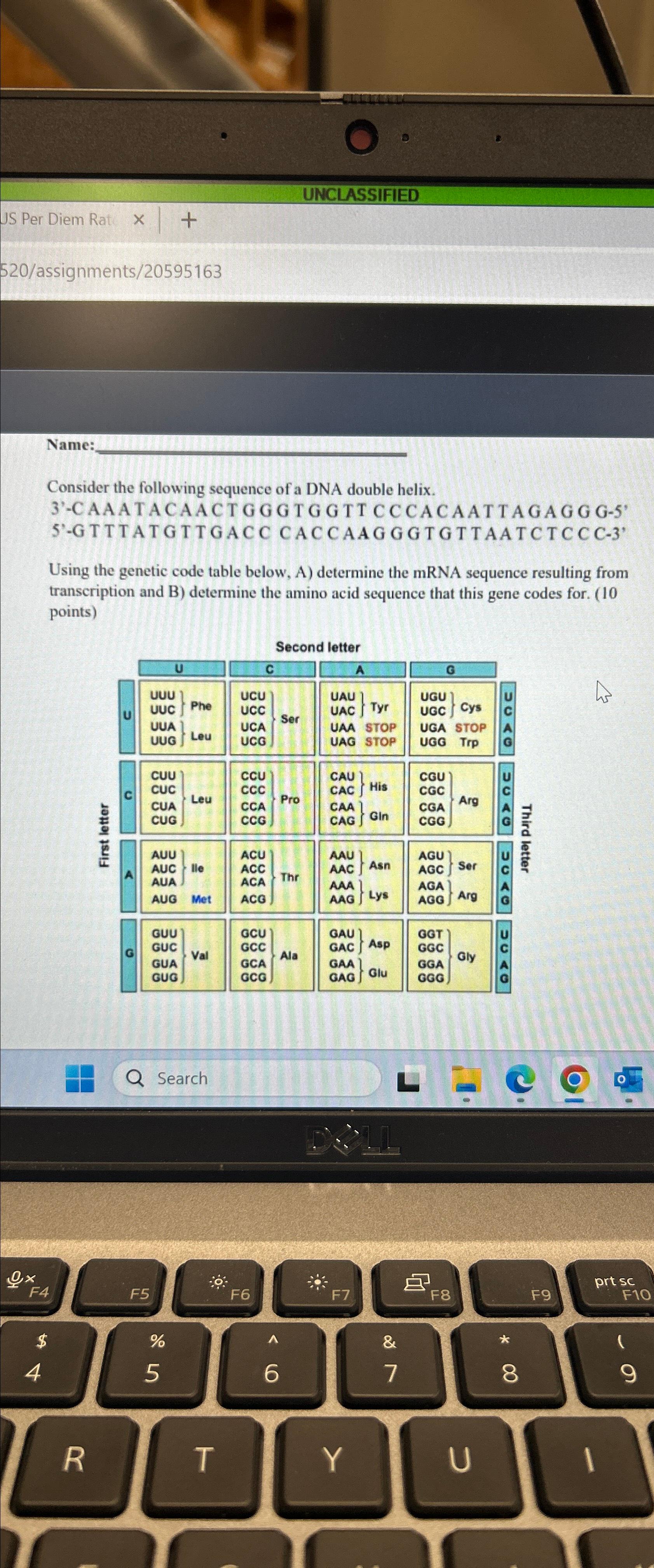 Solved Consider the following sequence of a dna double helix | Chegg.com
