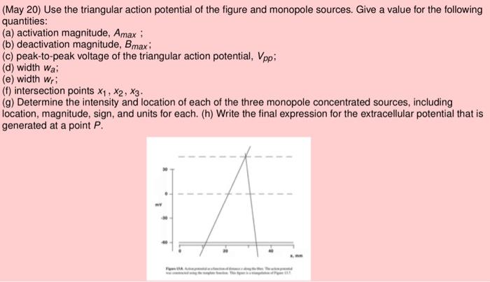 (May 20) Use the triangular action potential of the | Chegg.com