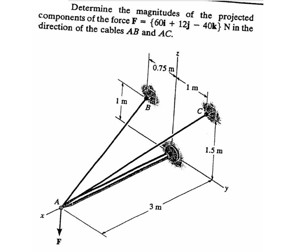 Solved Determine The Magnitudes Of The Projected Components