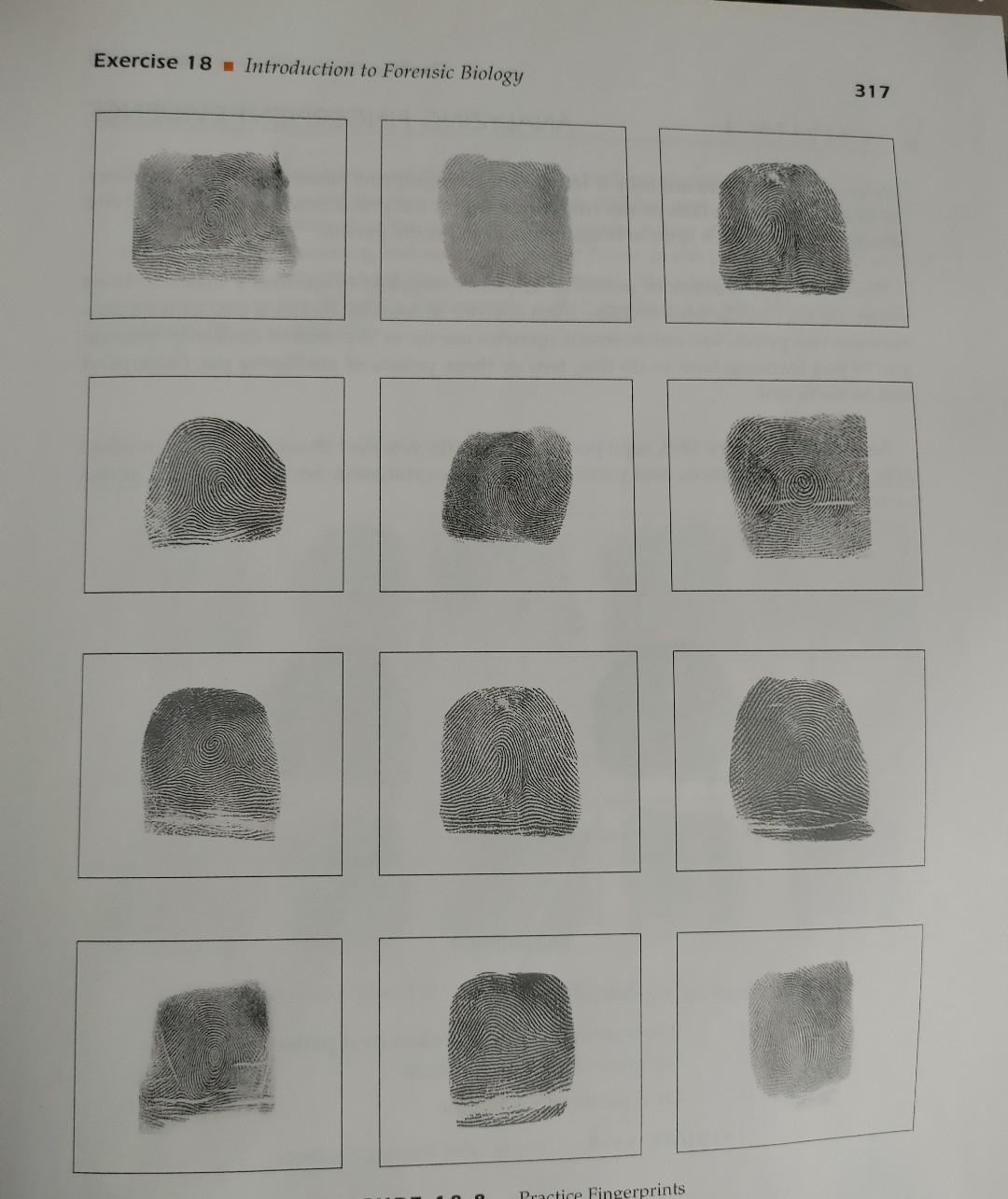 Using your knowledge of fingerprint patterns, | Chegg.com