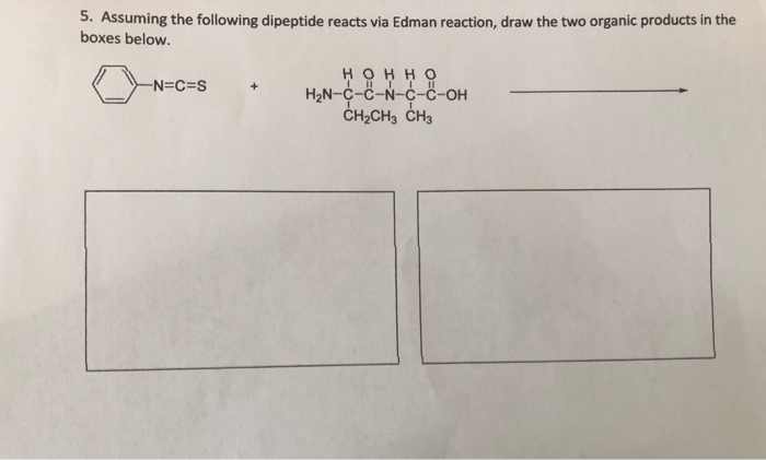 Solved S. Assuming the following dipeptide reacts via Edman | Chegg.com