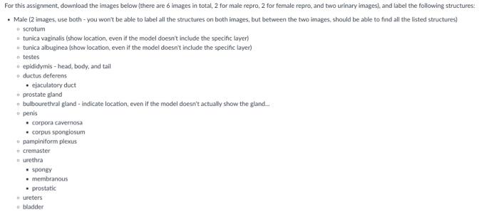 Solved For this assignment, download the images below (there | Chegg.com