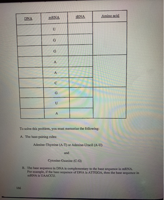 Solved Amino acid tRNA DNA " A. The base-pairing rules: | Chegg.com