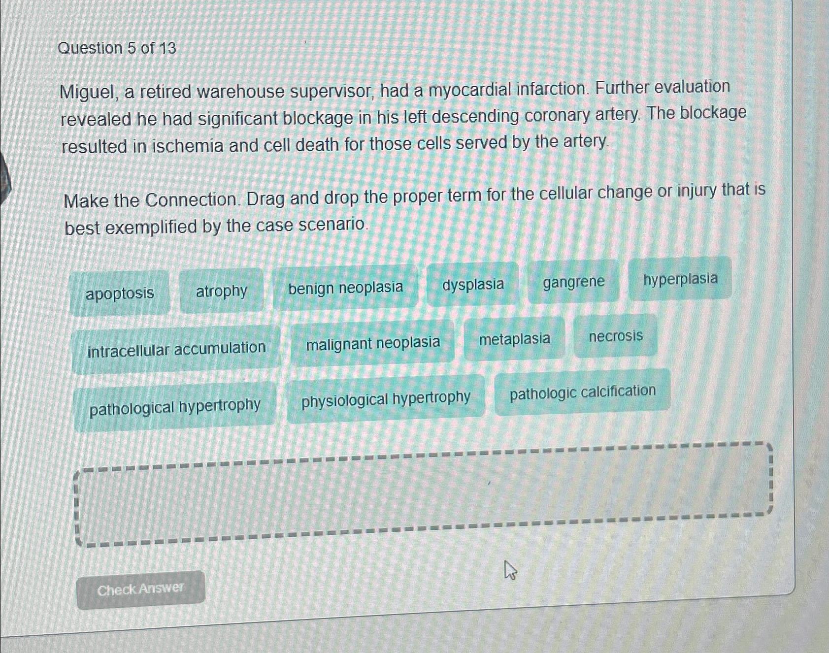 Question 5 ﻿of 13Miguel, a retired warehouse | Chegg.com