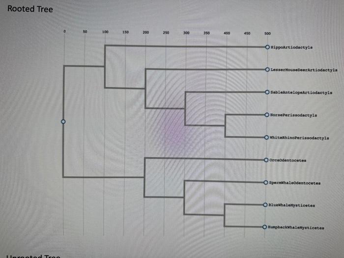 Solved Please examine the rooted and unrooted trees made to | Chegg.com