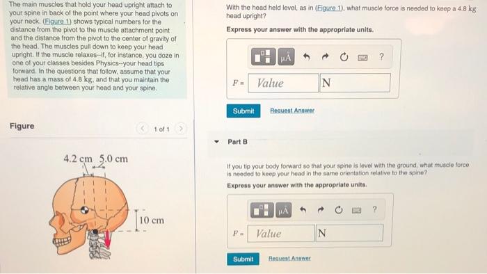 Solved With the head held level as in (Figure 1). what | Chegg.com
