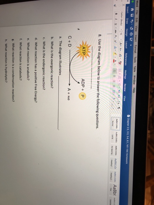 Solved Word File Edit View Insert Format Tools Table Window