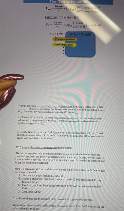 Example: potassium (K2) | Chegg.com