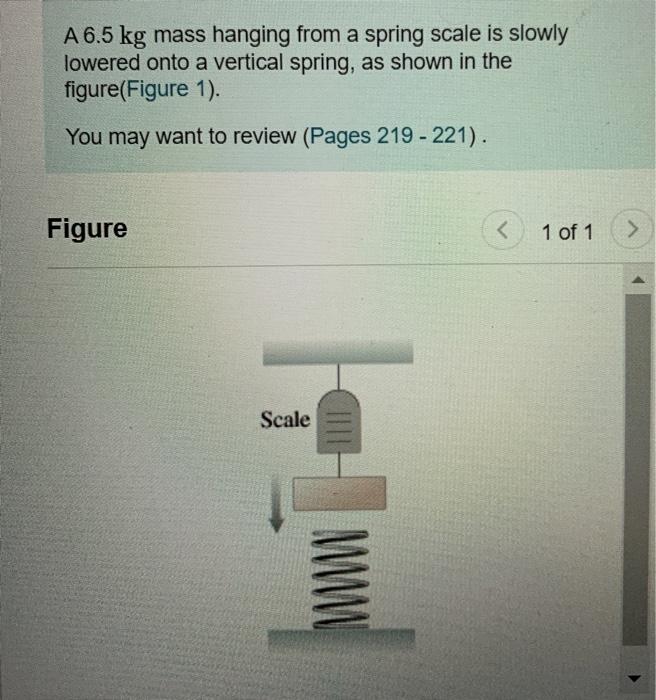 Solved A 6.5 kg mass hanging from a spring scale is slowly | Chegg.com