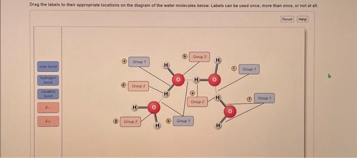 [solved] Drag The Labels To Their Appropriate Locations On