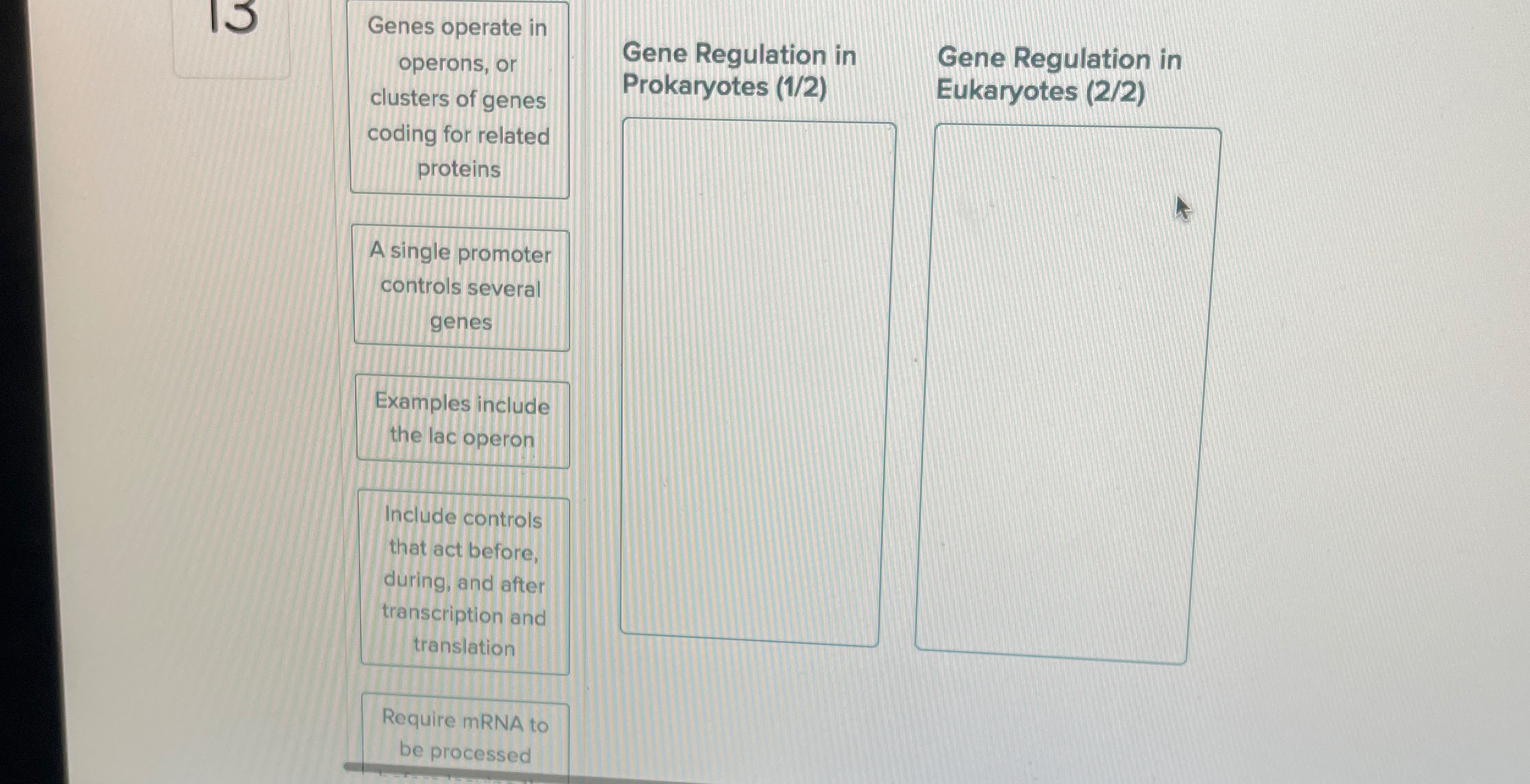 Solved Genes operate in operons, or clusters of genes coding | Chegg.com