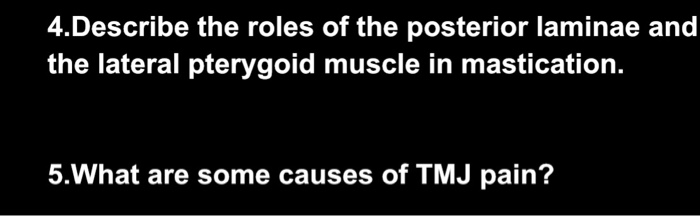 4.Describe the roles of the posterior laminae and the | Chegg.com