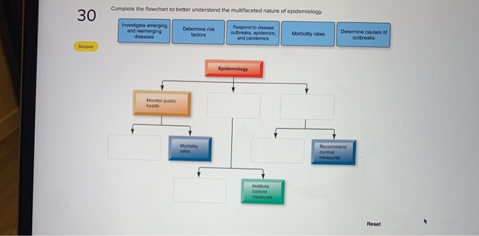 Solved Complete the flowchart to better understand the | Chegg.com