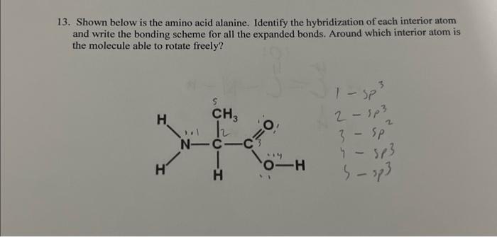 [Solved]: 13. Shown below is the amino acid alanine. Identi