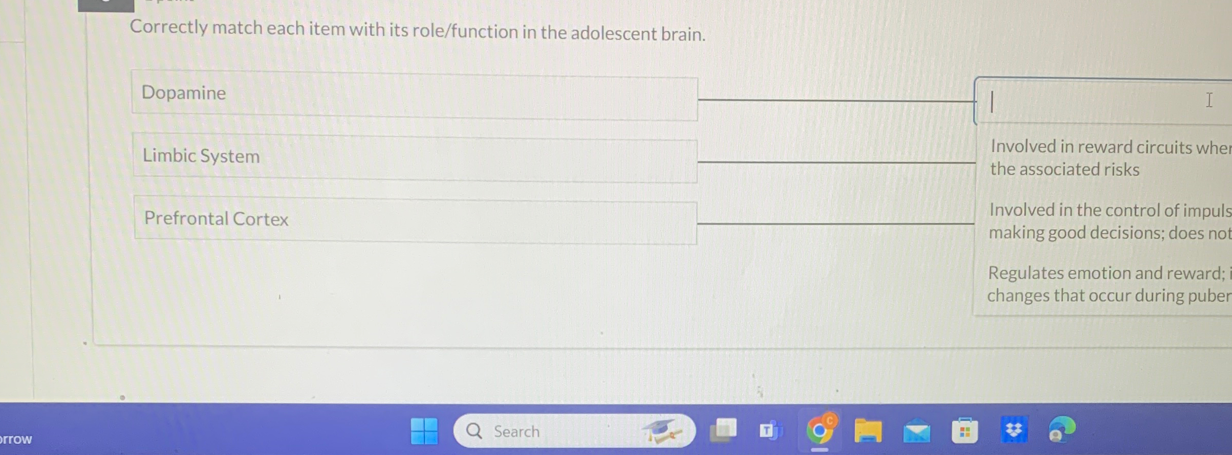 Solved Correctly match each item with its role/function in | Chegg.com