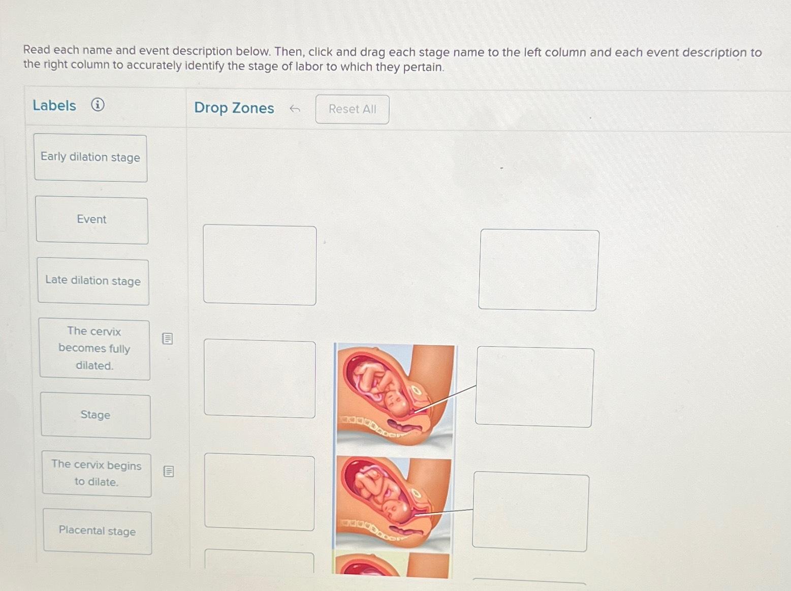 Solved Read each name and event description below. Then, | Chegg.com
