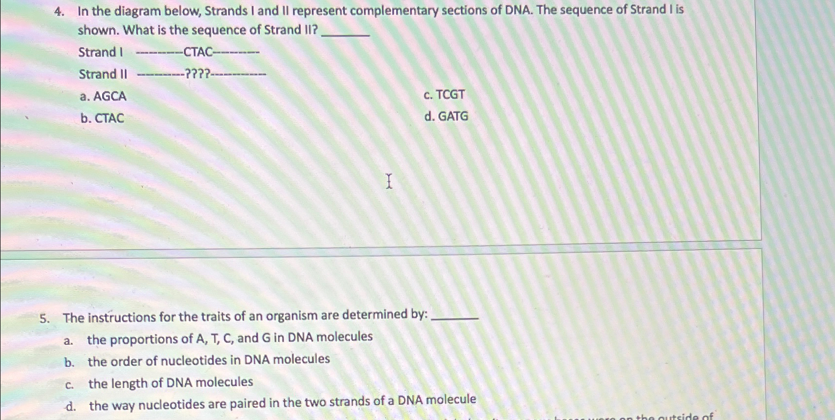 Solved In the diagram below, Strands I and II represent | Chegg.com