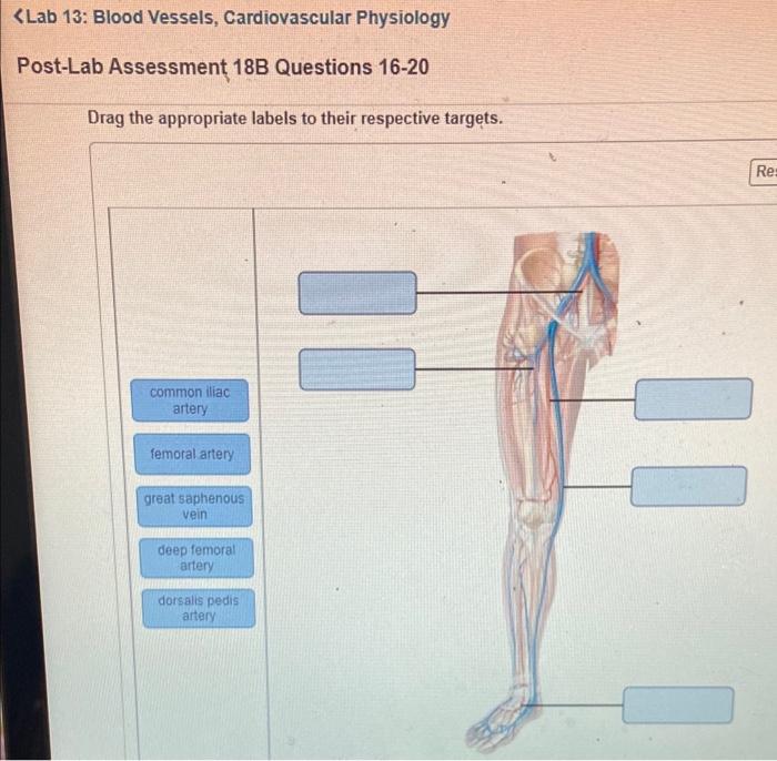 Solved Question | Chegg.com
