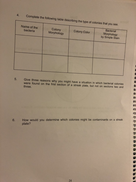 Solved Name Date Lab Report: 4 isolation of Bacteria Using | Chegg.com