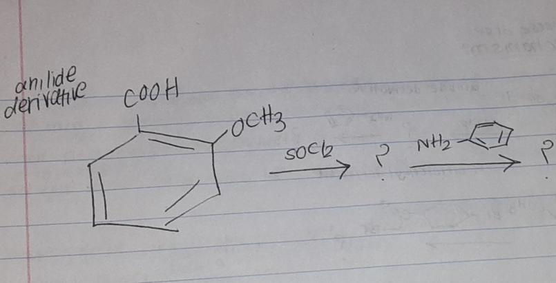 Solved anilide derivative -COOH OCHz Soch NH₂ ? ? | Chegg.com