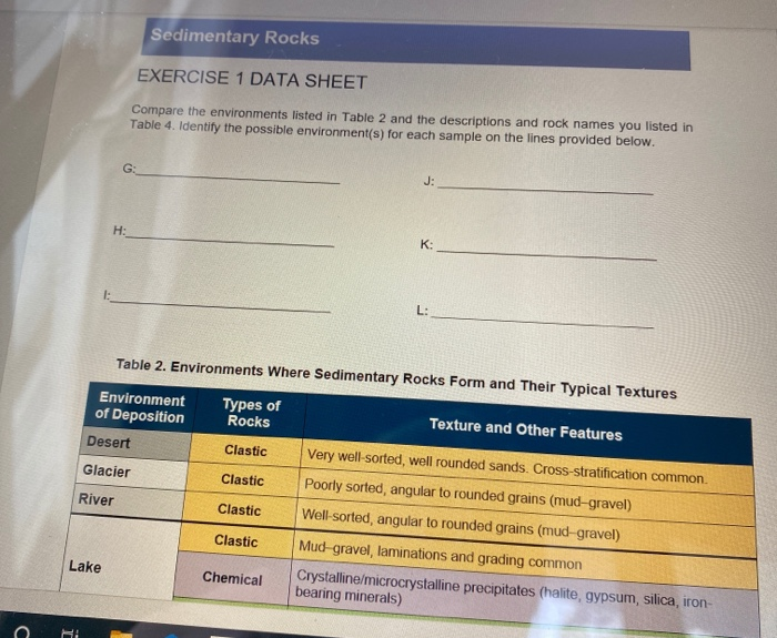Solved Sedimentary Rocks EXERCISE 1 DATA SHEET O Table 4. | Chegg.com