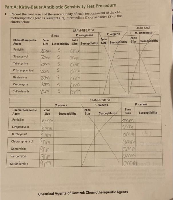 Part A: Kirby-Bauer Antibiotic Sensitivity Test | Chegg.com