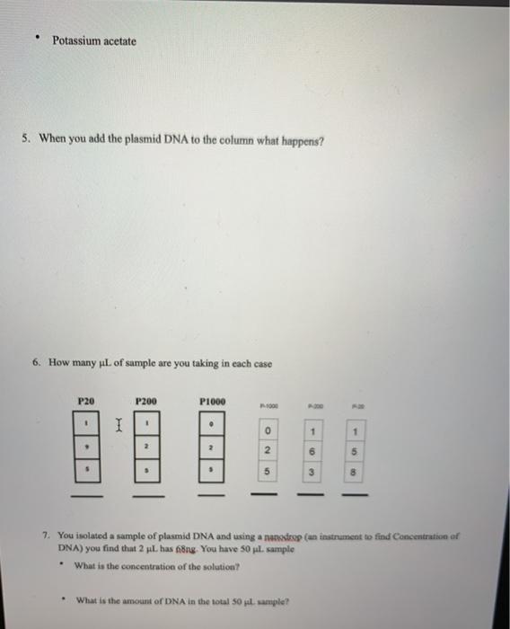 Solved Plasmid DNA isolation worksheet Name 1. When you | Chegg.com