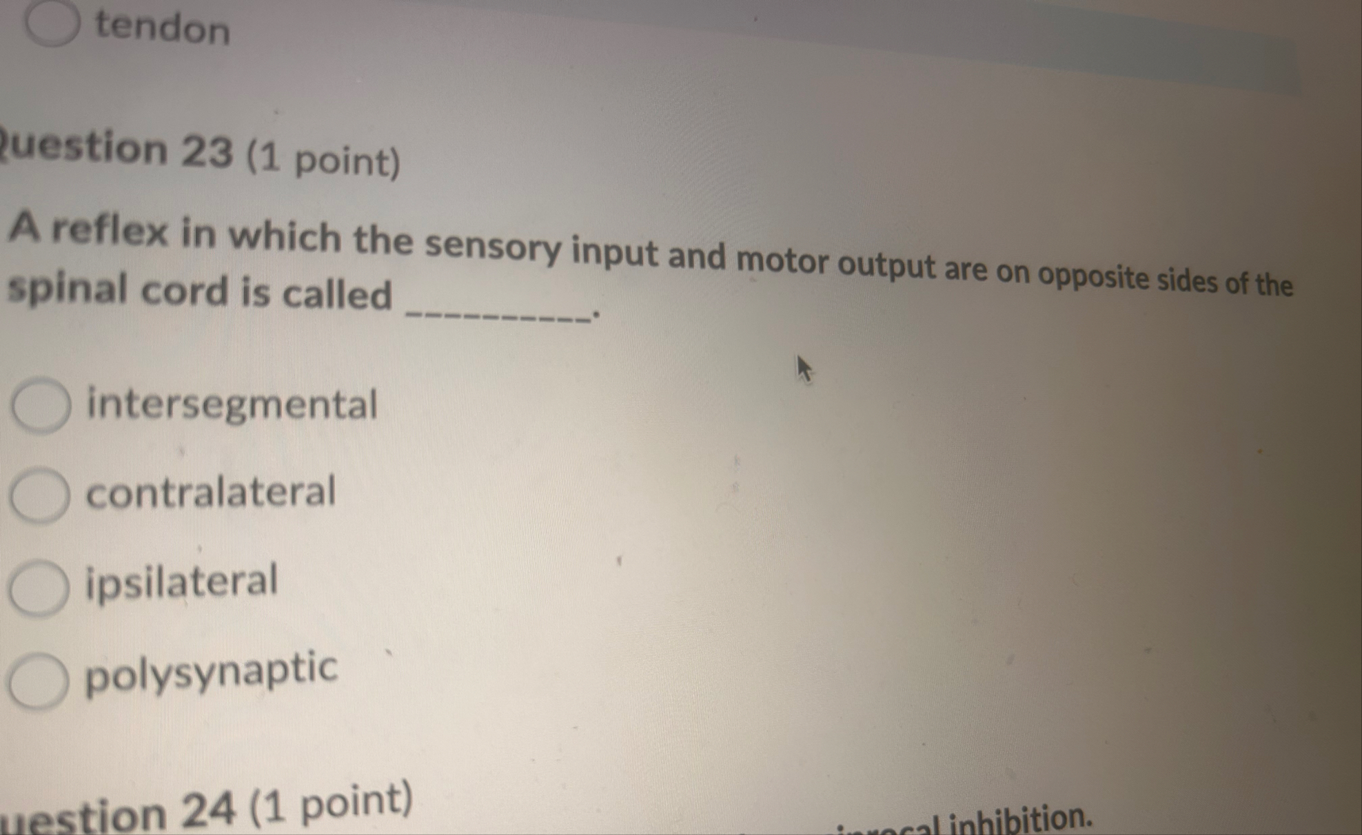 Solved tendonuestion 23 (1 ﻿point)A reflex in which the | Chegg.com