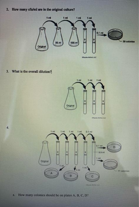 I have the answers, but I do not know how to get | Chegg.com